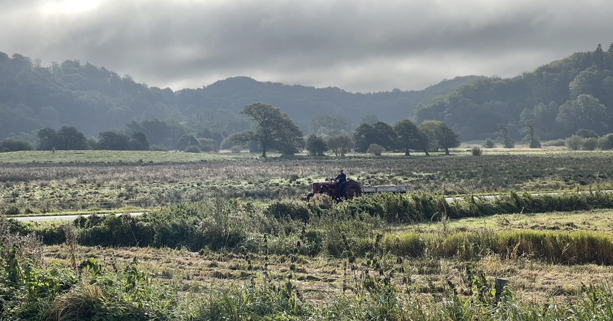 Grøn Trepart - Vejle Kommune